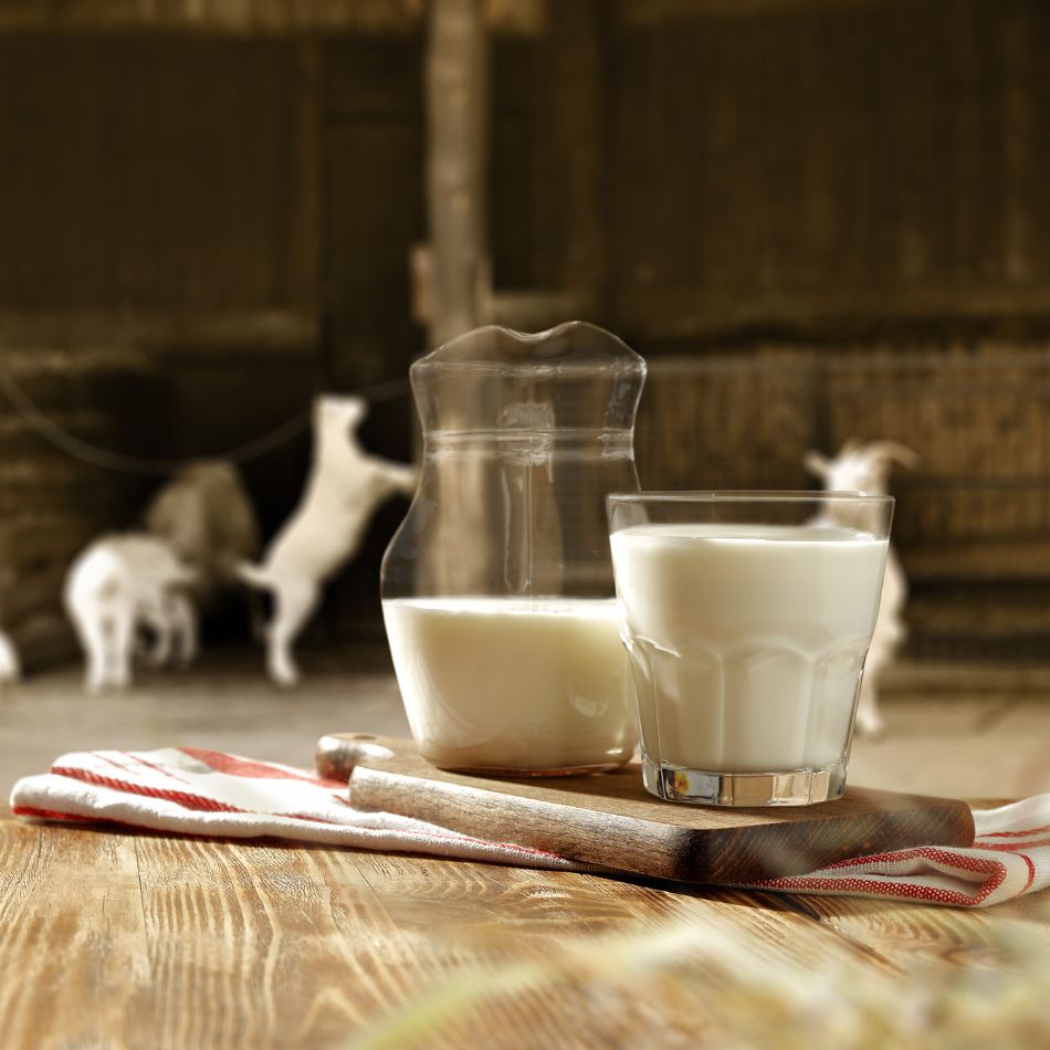 Goat milk benefits | Emmi Nutritional Solutions