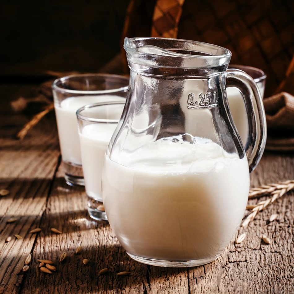 Producten op basis van geitenmelk | Emmi Nutritional Solutions